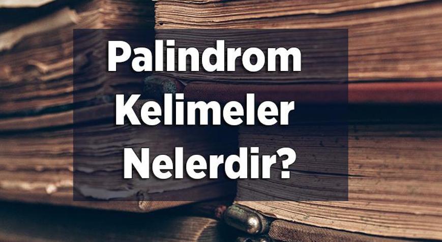 Palindrom Kelimeler Nelerdir? 4, 5 Ve 6 Harfli Palindrom Kelimeler - En Son Haberler - Milliyet