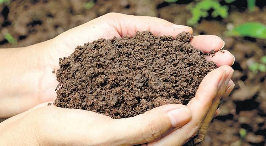 Atıklar kompost ve mama oluyor - Son Haberler - Milliyet