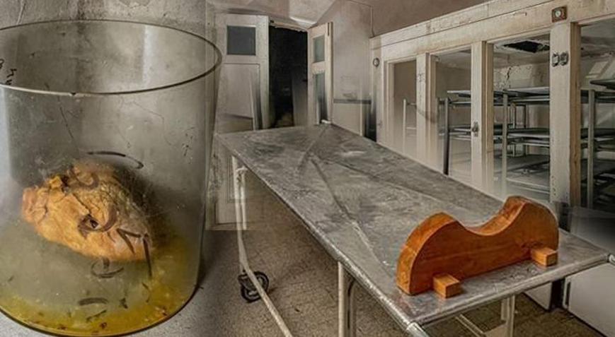 HABERLER || Terk edilen morgun görüntüleri şoke etti! - Son Dakika Haberleri Milliyet