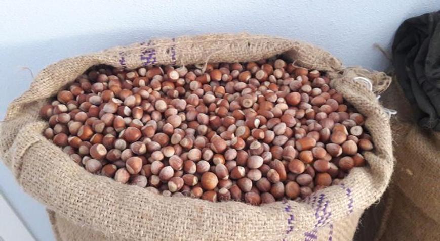 Fındık üreticileri fiyatların artmasını istiyor - Son Haberler - Milliyet