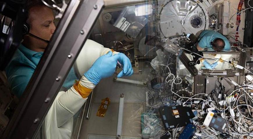 Alper Gezeravcı yeni deneye başladı - Güncel Haberler Milliyet