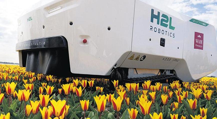 Lale tarlalarında yapay zeka robotu - Son Haberler - Milliyet
