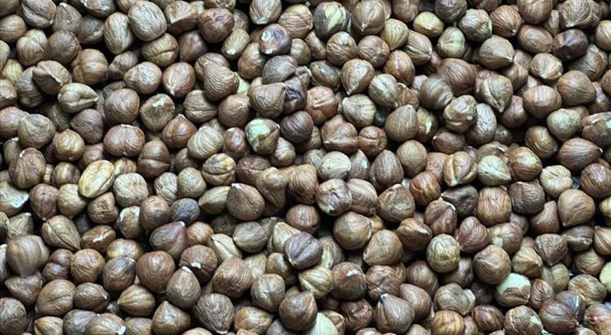 Fındık ihracatından 2,3 milyar dolar gelir - Son Haberler - Milliyet