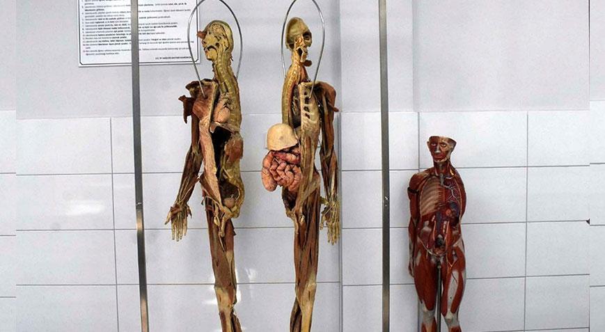 400 öğrenciye 40 kadavra! 'En az 5 yıl kullanılıyor' - Son Dakika ...