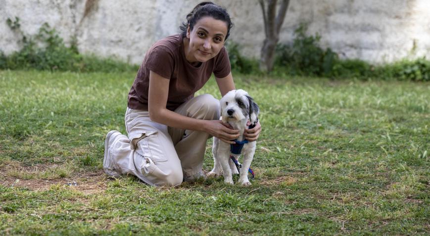 Mersin’de bin 927 can dost yeni yuvasına kavuştu - Mersin Akdeniz Haberleri