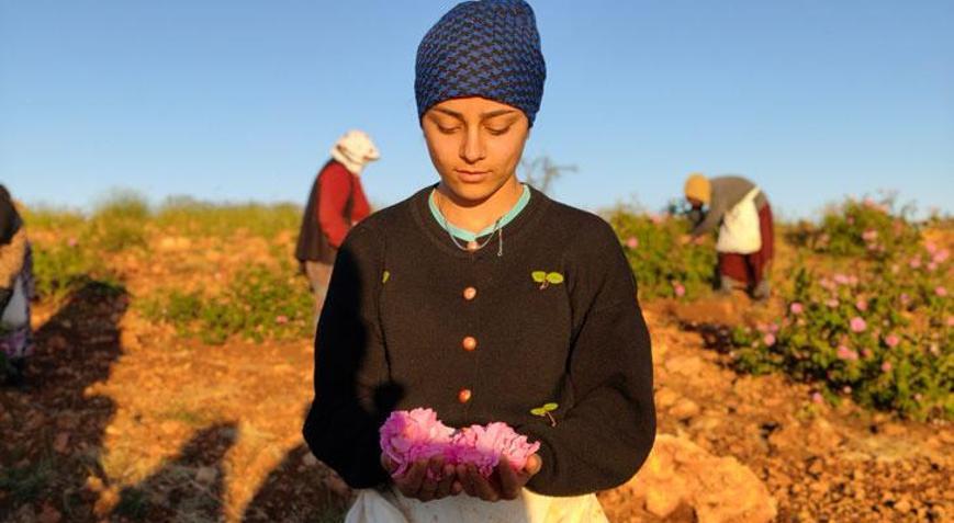 Mardin'de gül bahçesi kurdu! Bölge kadınlarına istihdam sağladı - Kobi ...
